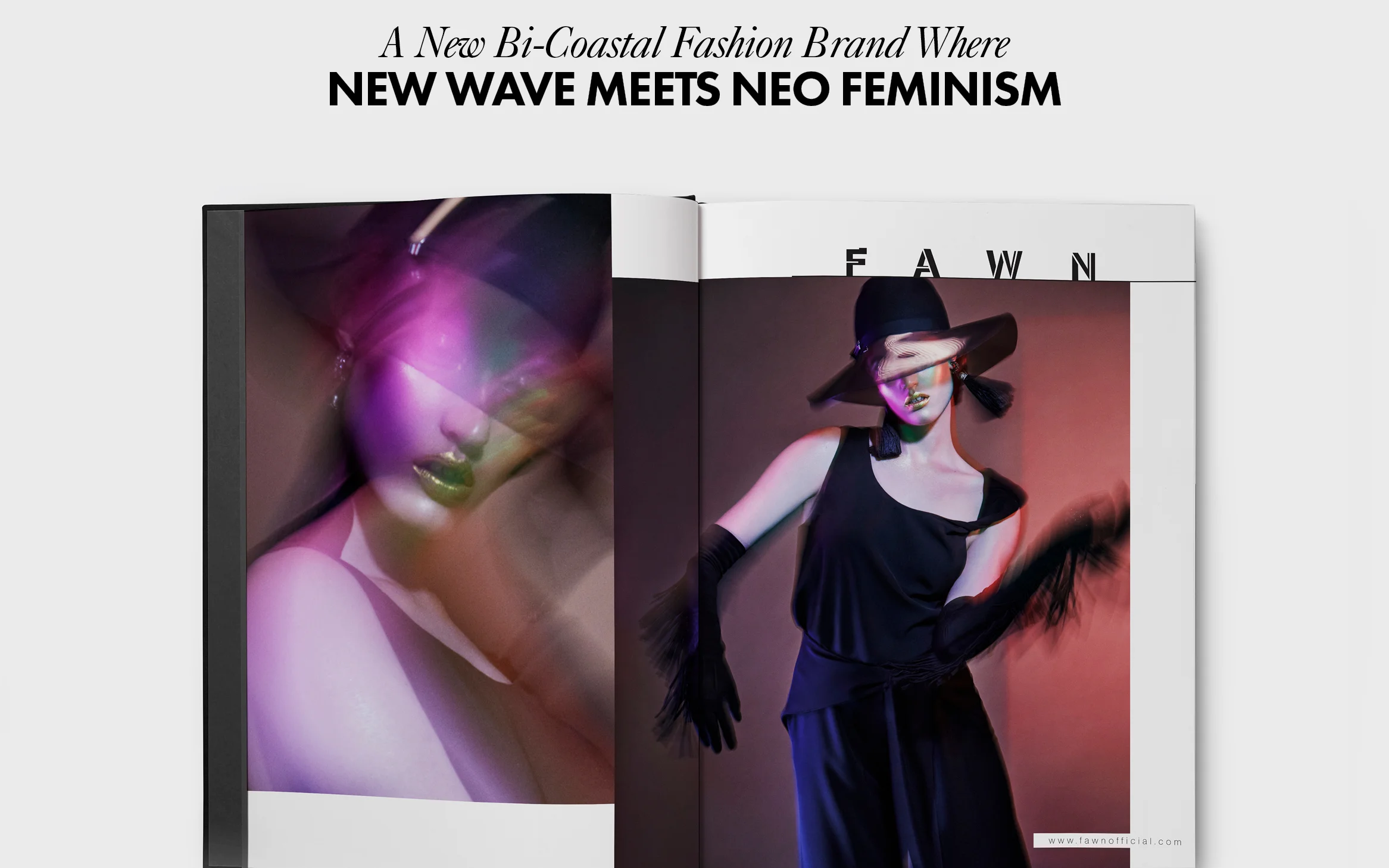 FAWN — WORK . ELYSE SIEGAL