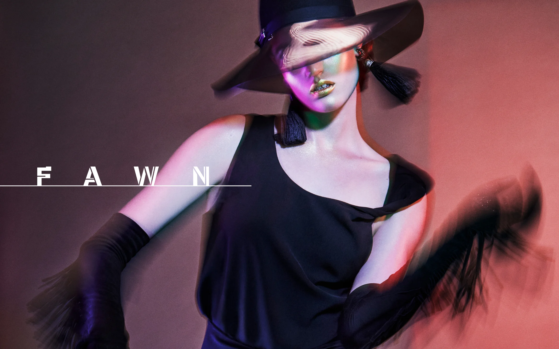 FAWN — WORK . ELYSE SIEGAL