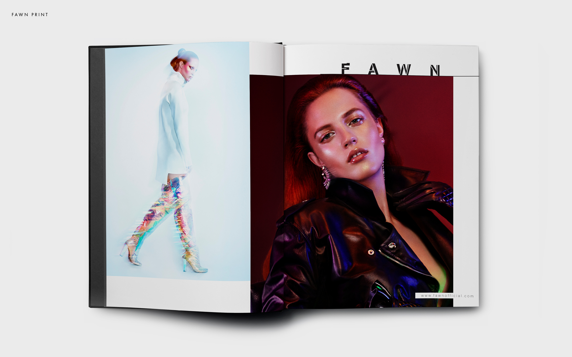 FAWN — WORK . ELYSE SIEGAL