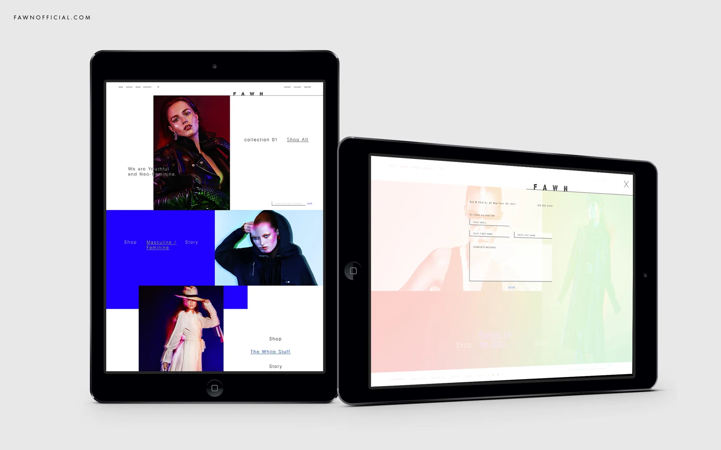 FAWN — WORK . ELYSE SIEGAL