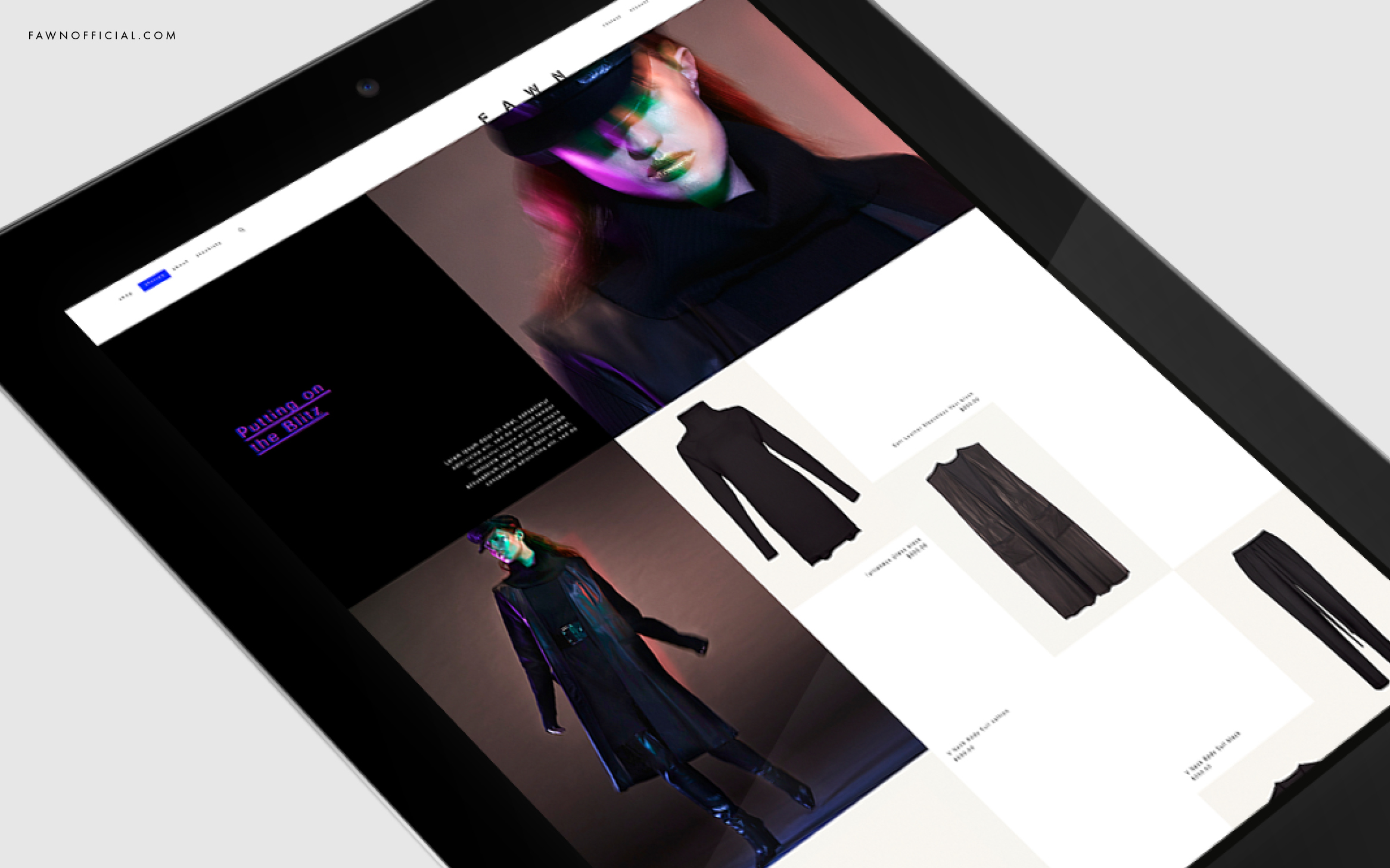 FAWN — WORK . ELYSE SIEGAL