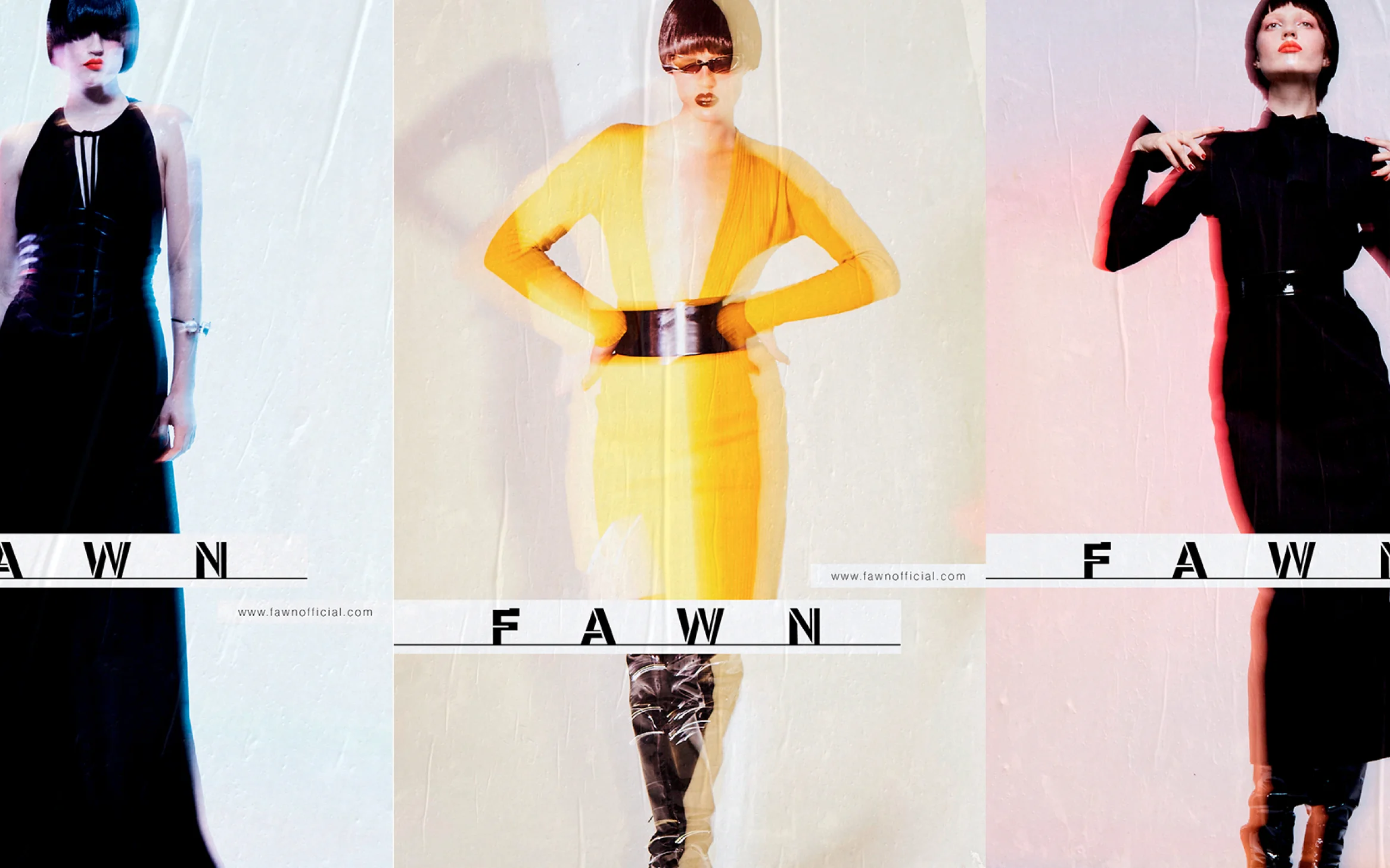 FAWN — WORK . ELYSE SIEGAL