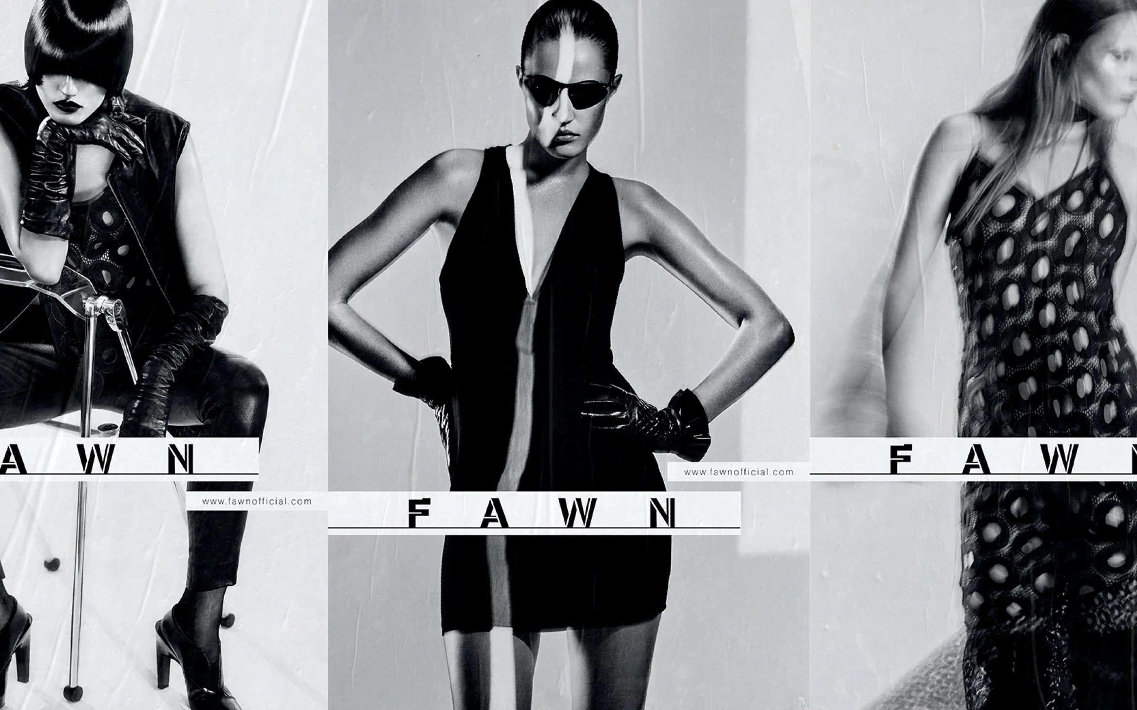 FAWN — WORK . ELYSE SIEGAL