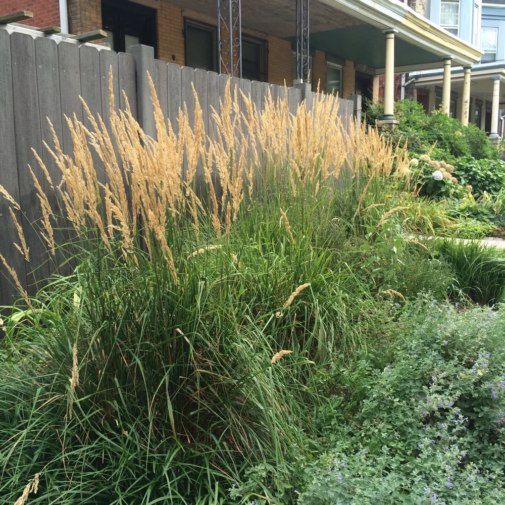 Notes from the field — elizabeth jacoby design