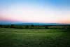 Photos — COLLEY HILL FARM
