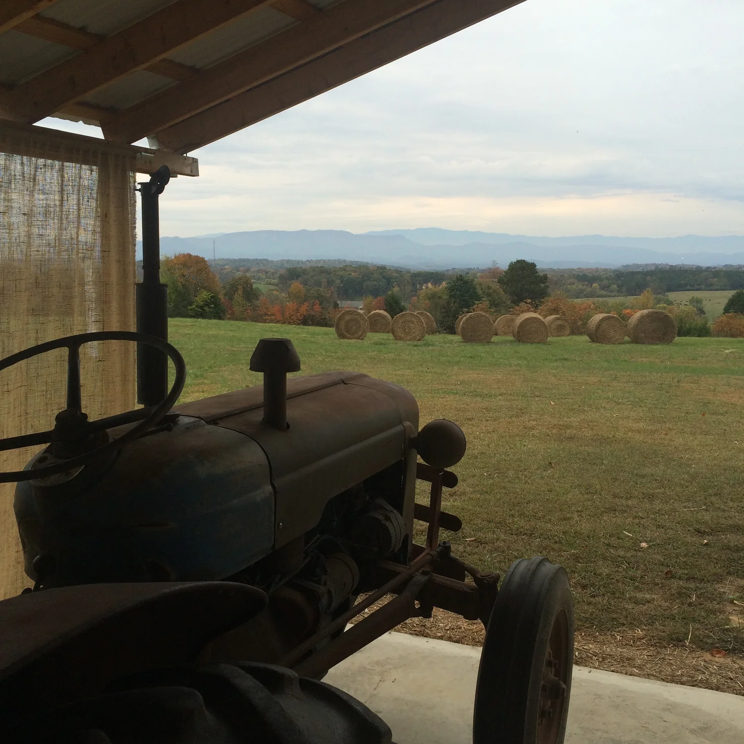 Photos — Colley Hill Farm