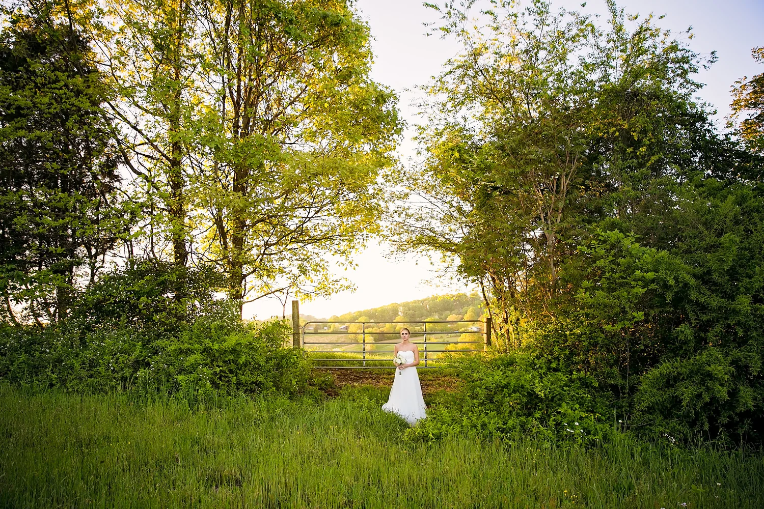 Photos — COLLEY HILL FARM
