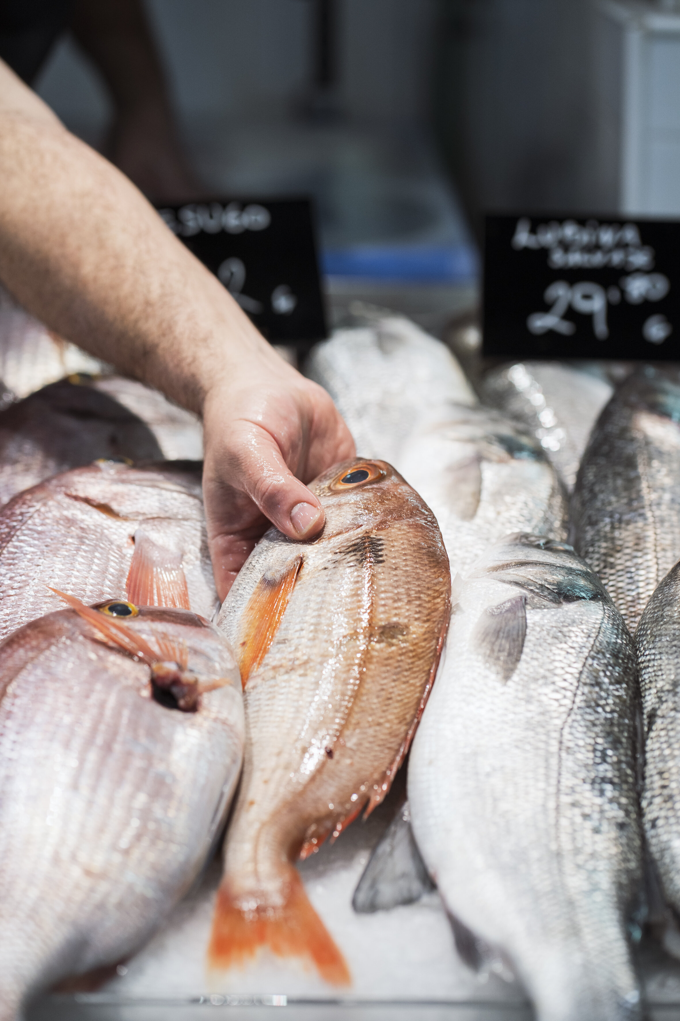 Palma Market Tour + Traditional cooking — Deborah's culinary island