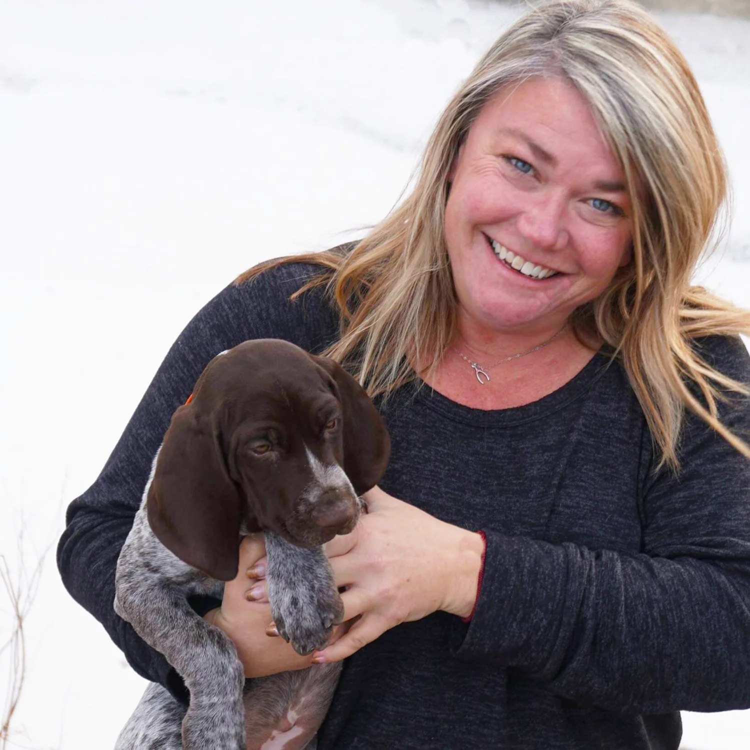 Are Foster Dogs Trained
