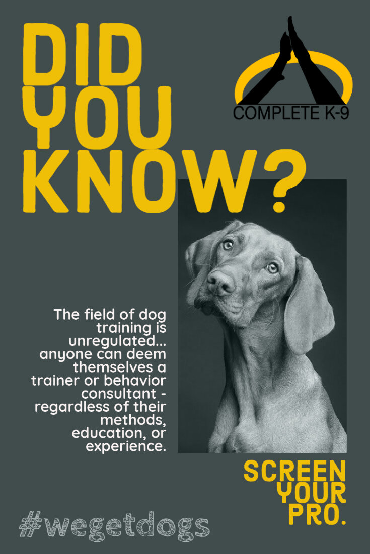Free Puppy Training, Dog Training and Behavior Learning Resources ...