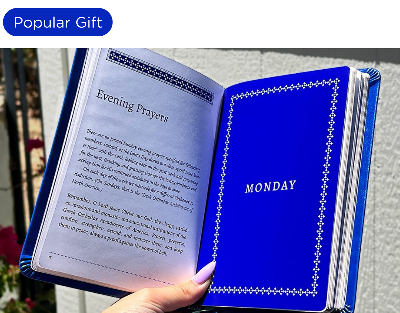 Faithtree Resources - Group studies and teaching materials for ...