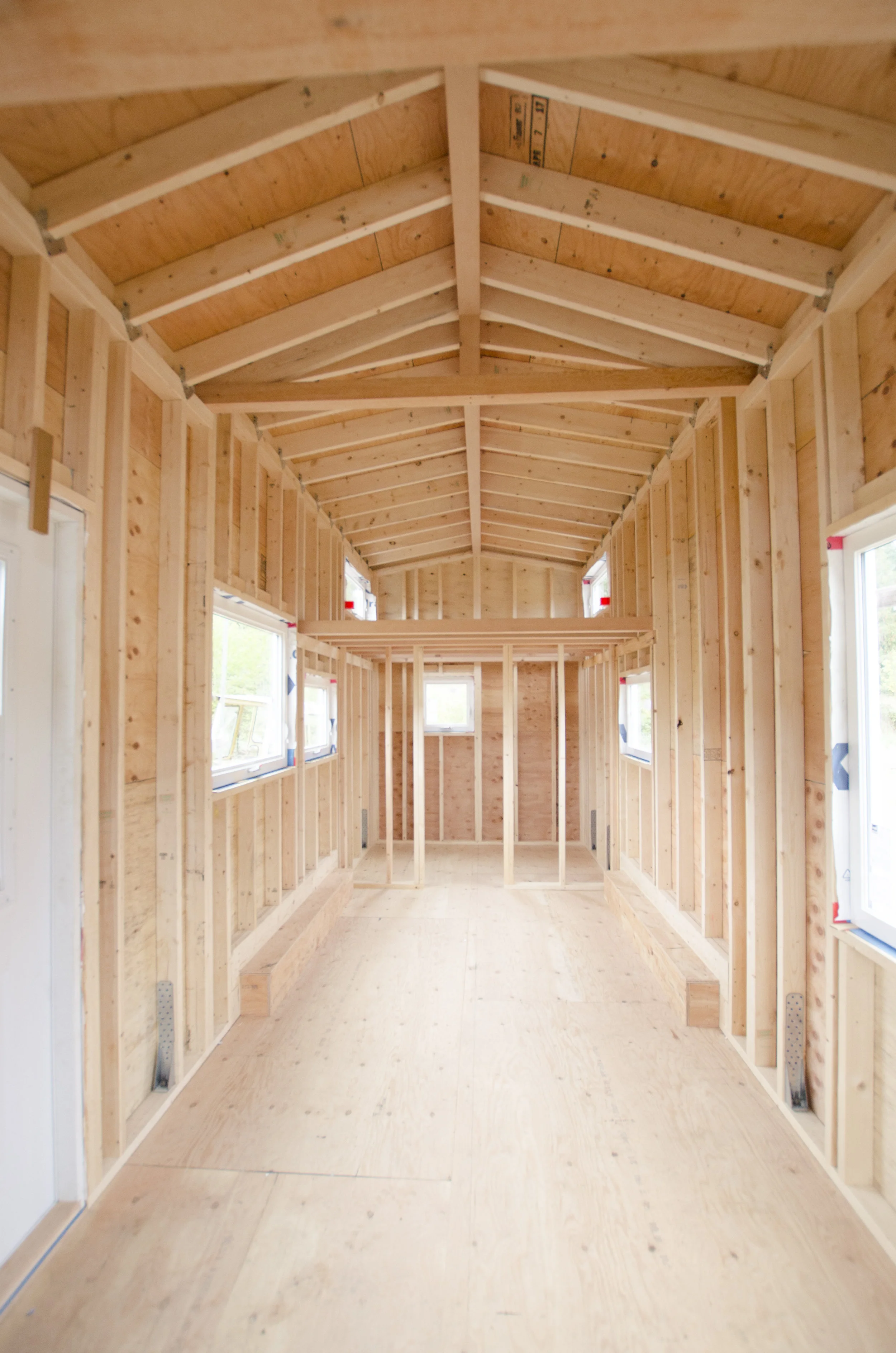 Shells — Rewild Homes