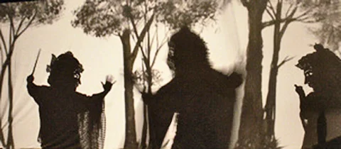 Evolution of a Shadow Master — UNIMA-USA