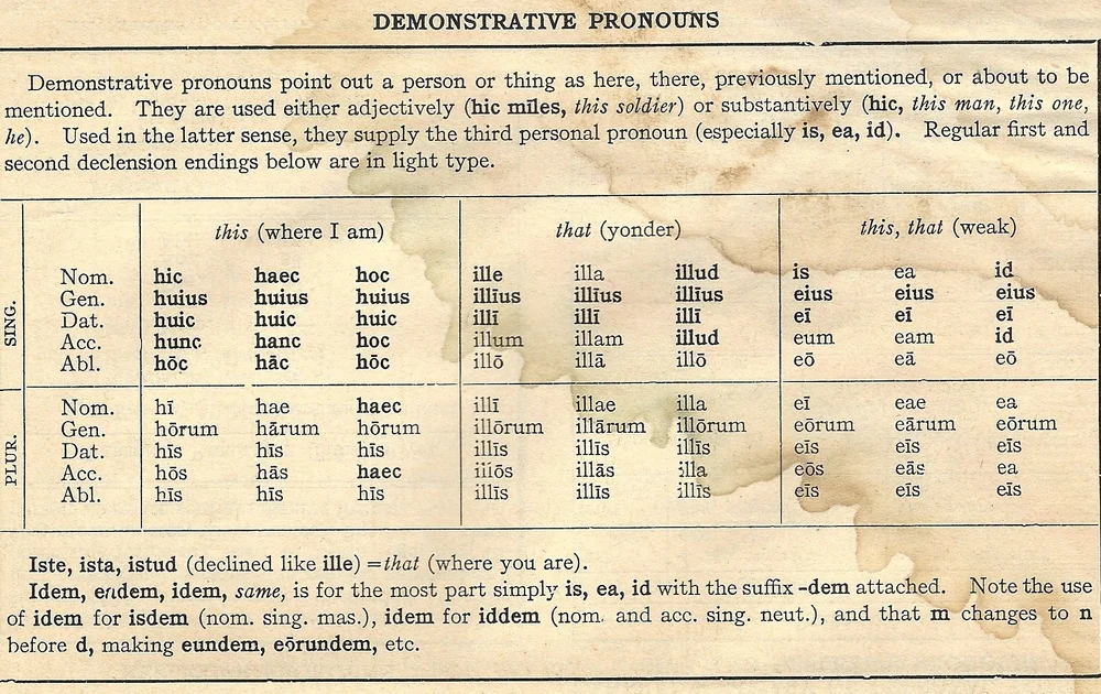 Demonstratives/Personal Pronouns — Latin for Rabbits