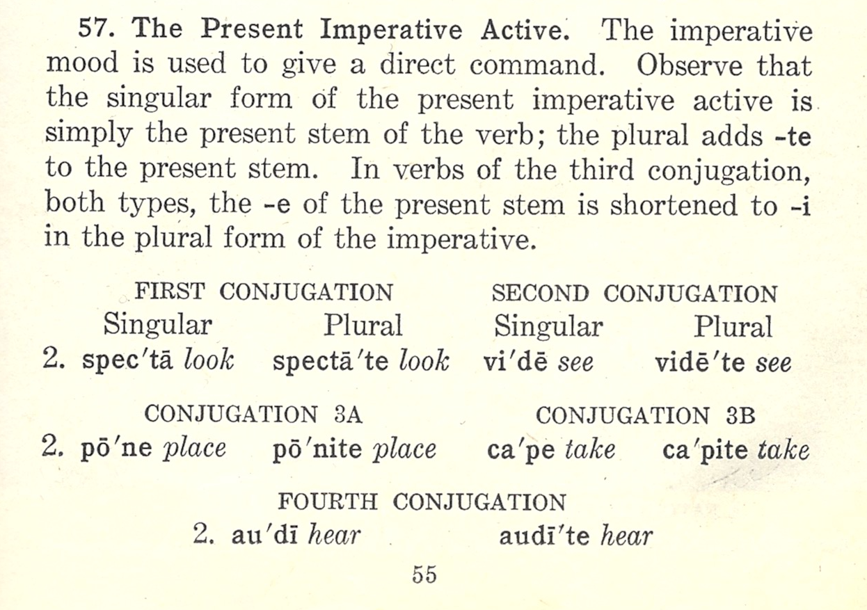Imperative Mood — Latin for Rabbits
