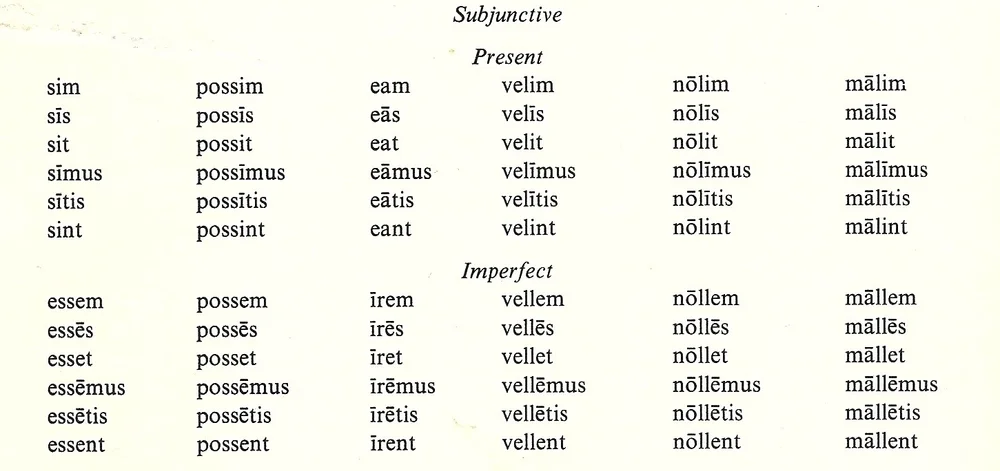 Subjunctive Mood — Latin for Rabbits