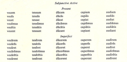 Subjunctive Mood — Latin for Rabbits