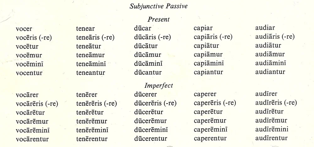 Subjunctive Mood — Latin for Rabbits
