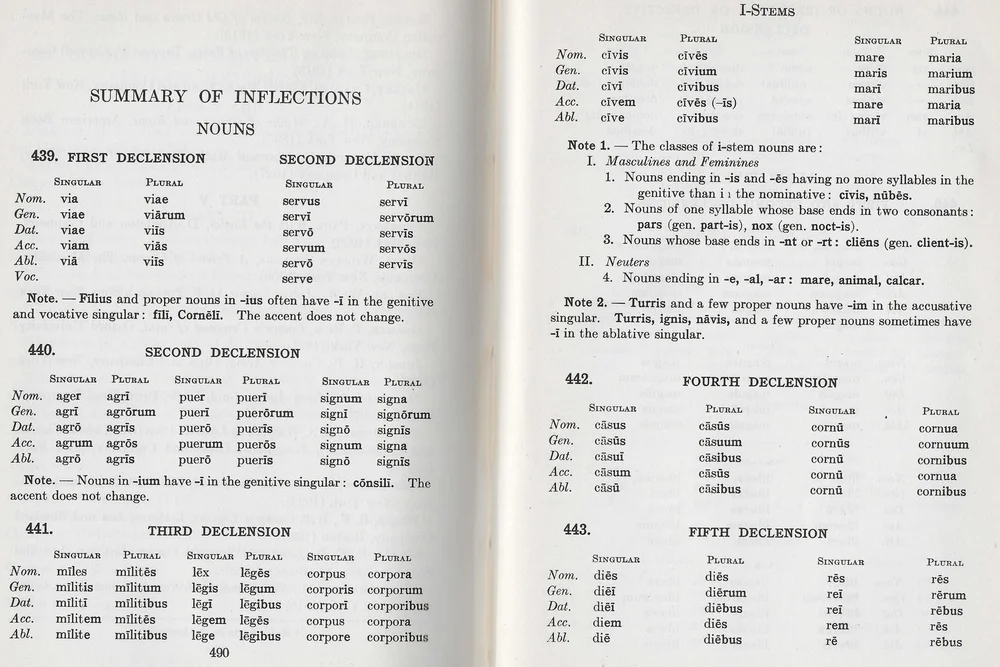 Nouns & Adjective Declensions/Paradigms — Latin for Rabbits