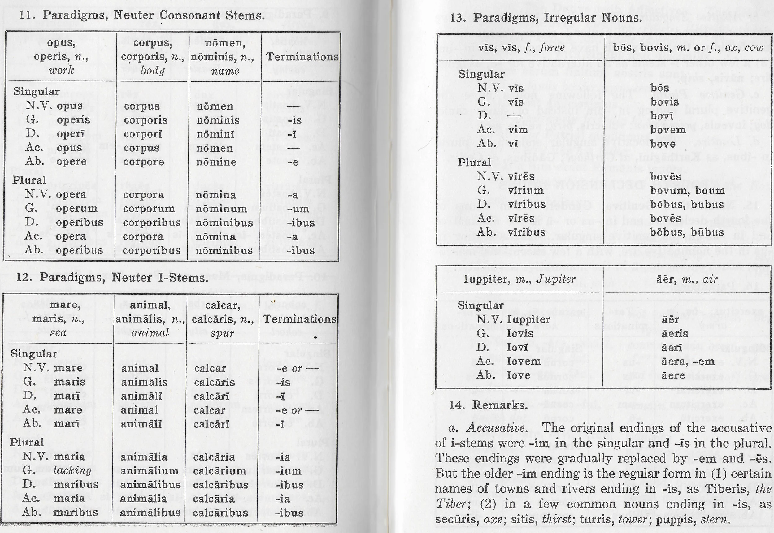 The Latin Nouns Declensions Chart Below Also Availabl Vrogue co The Latin Nouns Declensions Chart Below Also Availabl Vrogue co