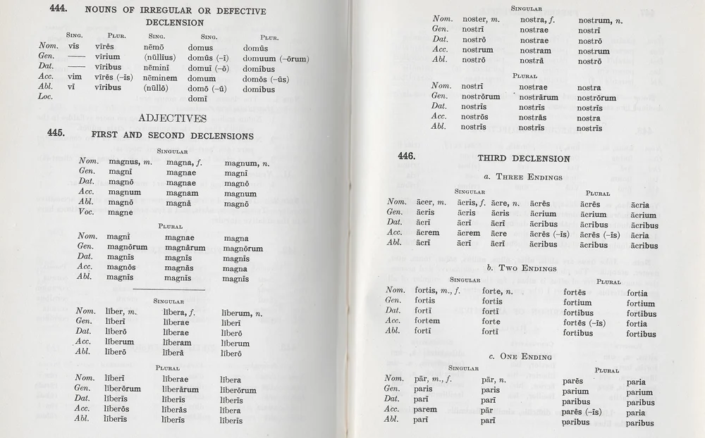 Nouns & Adjective Declensions/Paradigms — Latin for Rabbits
