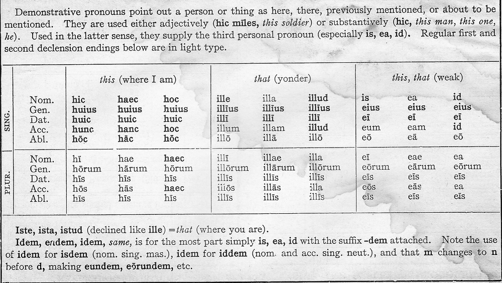 Nouns & Adjective Declensions/Paradigms — Latin for Rabbits