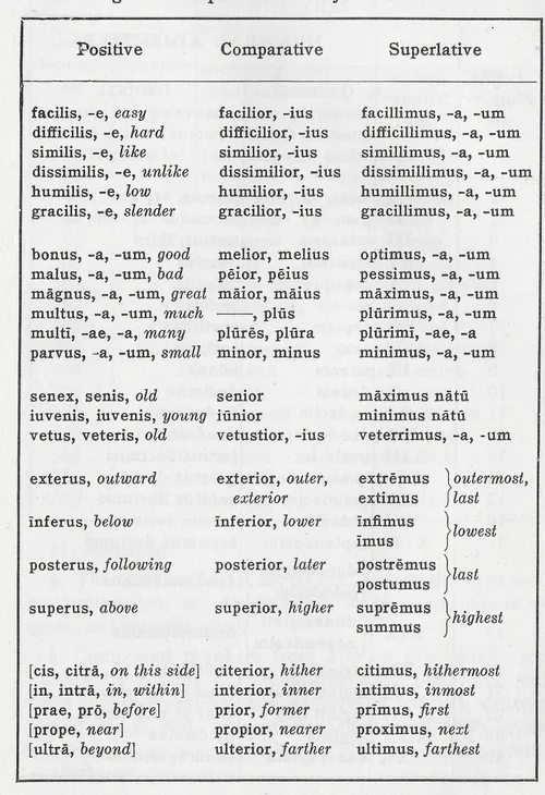 Nouns & Adjective Declensions/Paradigms — Latin for Rabbits
