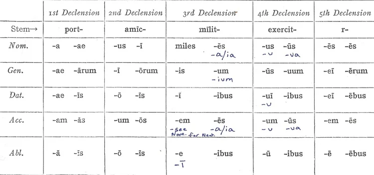 Declension Review — Latin for Rabbits