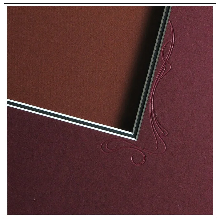 Accessories — Wizard International, Inc.