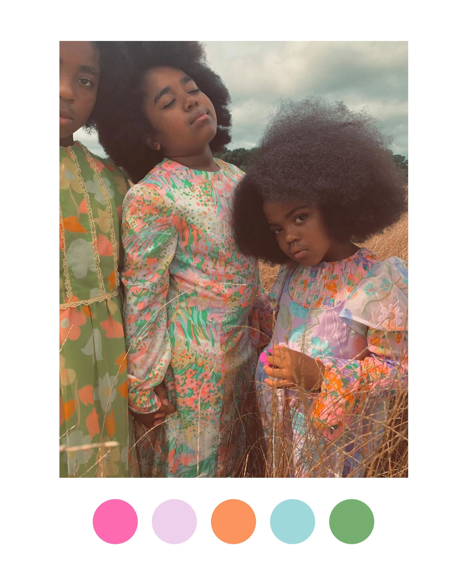 jabellafleur — Color Collective