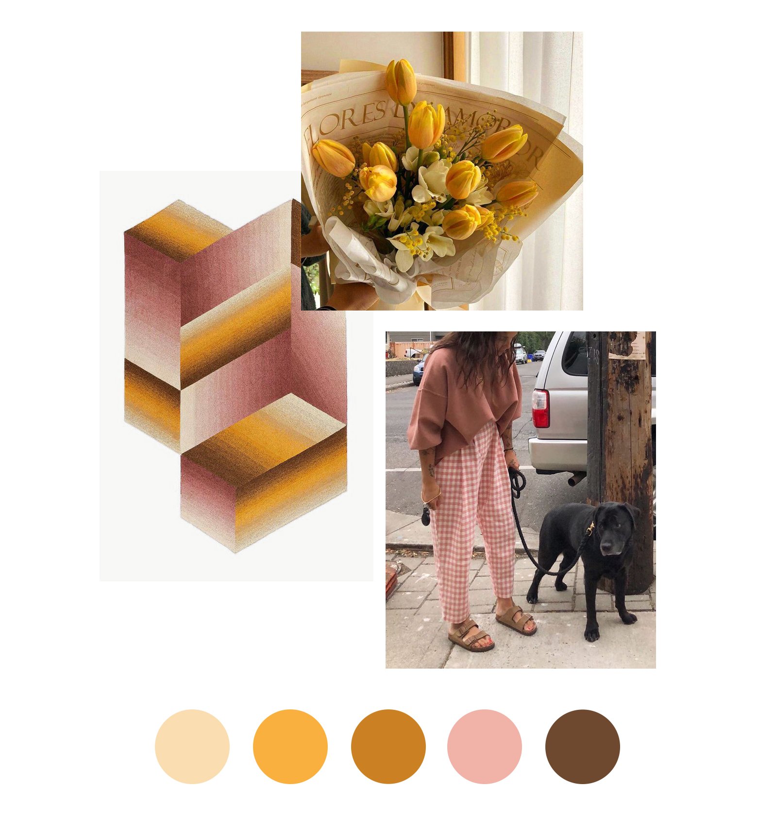 Color Collective