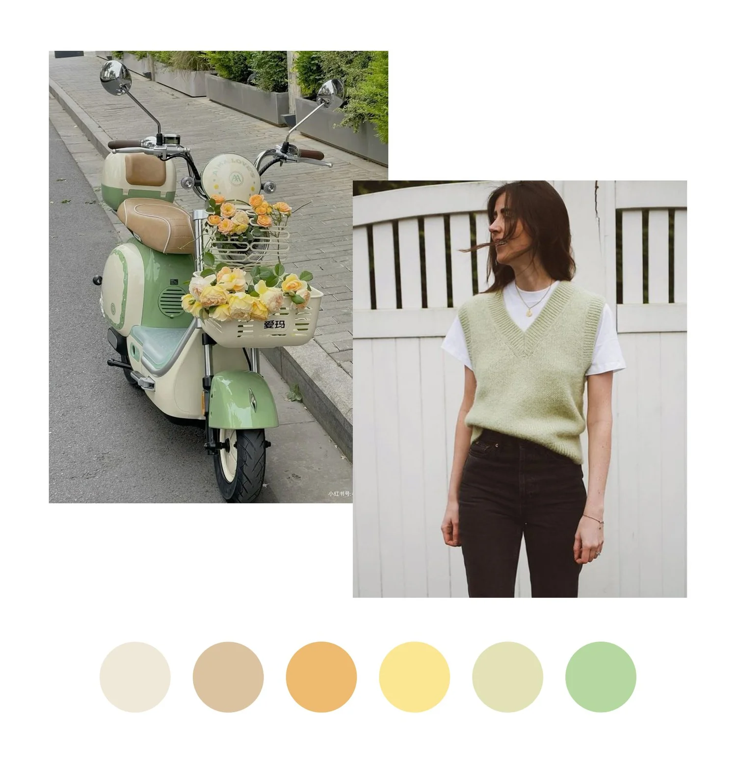 Color Collective