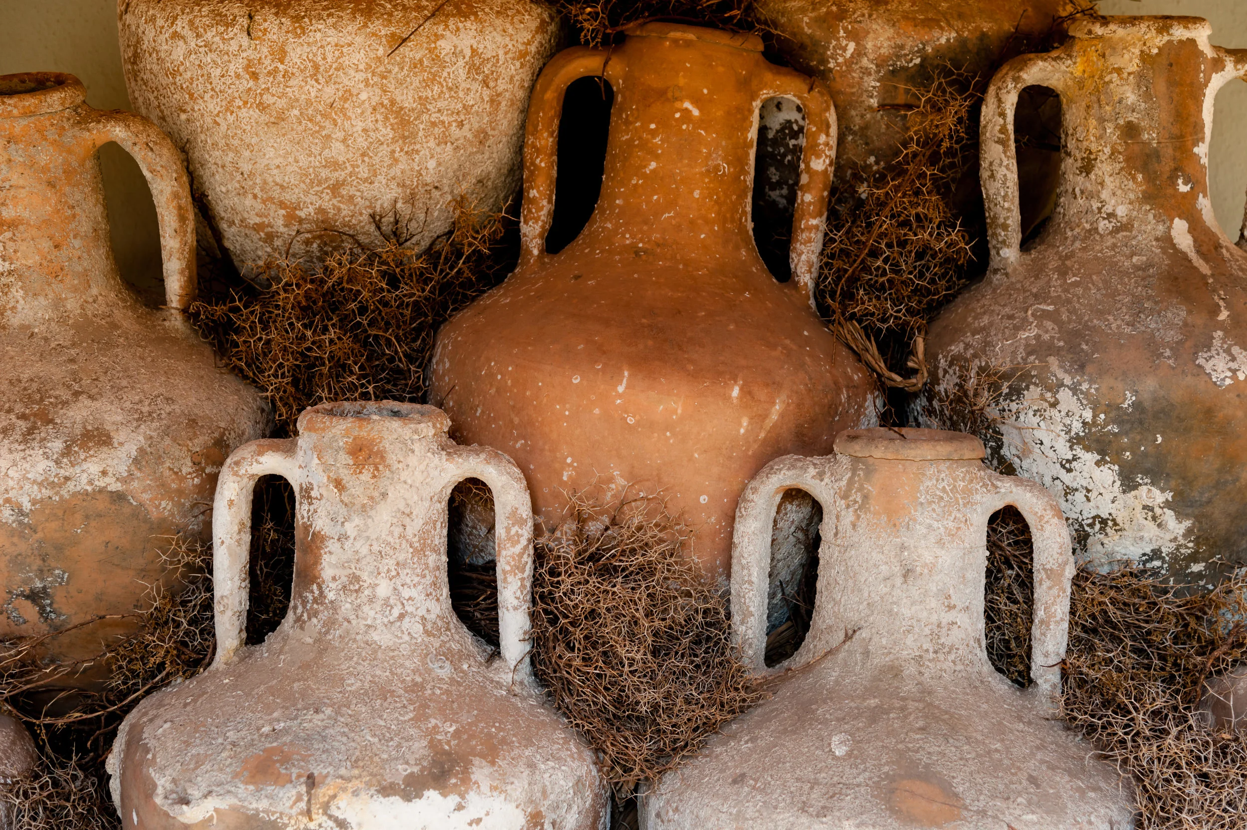 Q&A: An Introduction to the History of Wine — Wine Mine