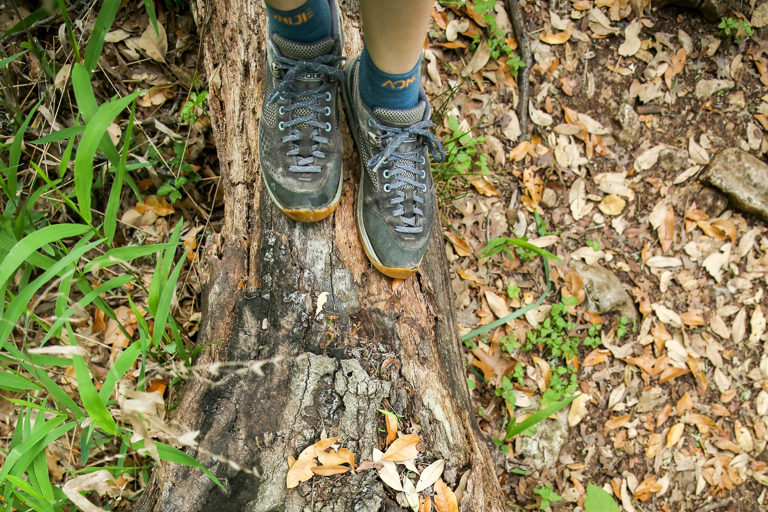 Great Springs Trail Race | Tejas Trails