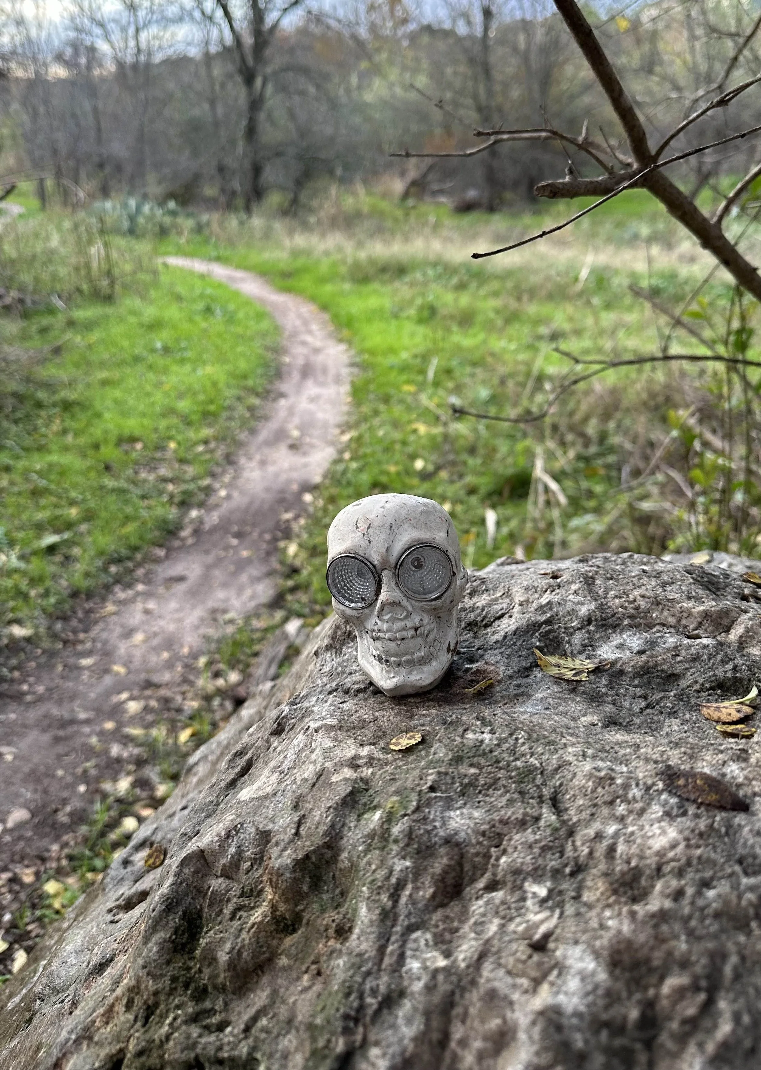 River's Edge Trail Race | Tejas Trails