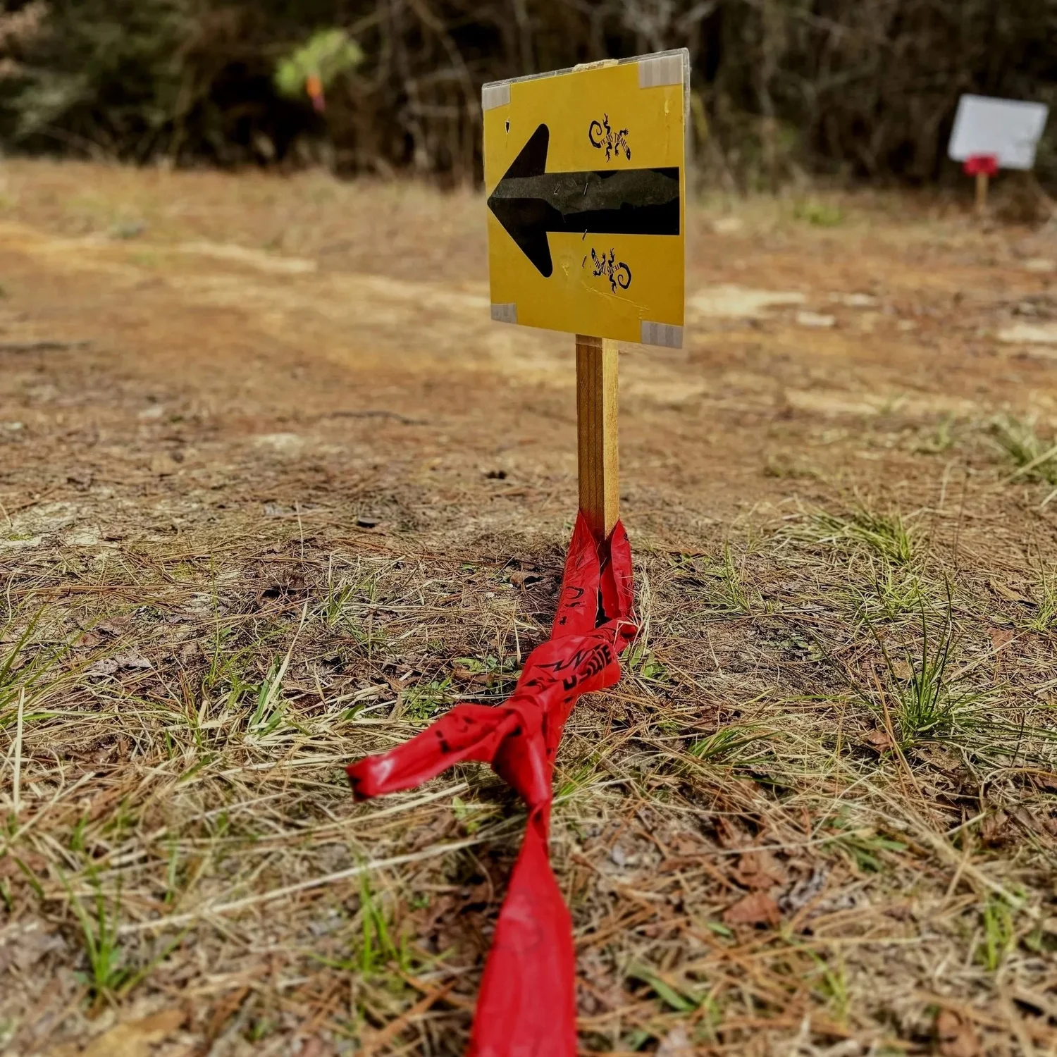 Great Springs Trail Race - Canyon Lake | Tejas Trails