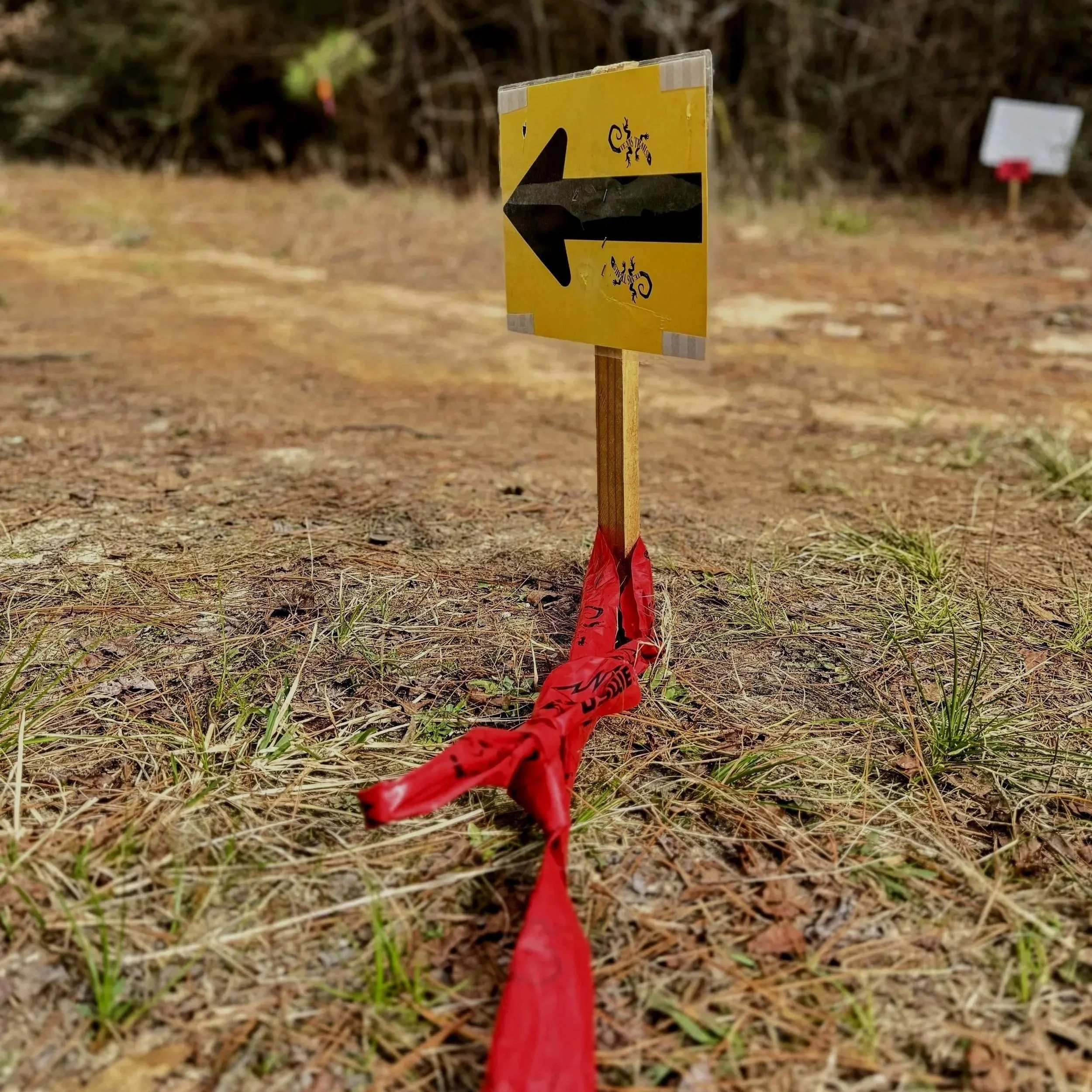 Great Springs Trail Race - Austin | Tejas Trails