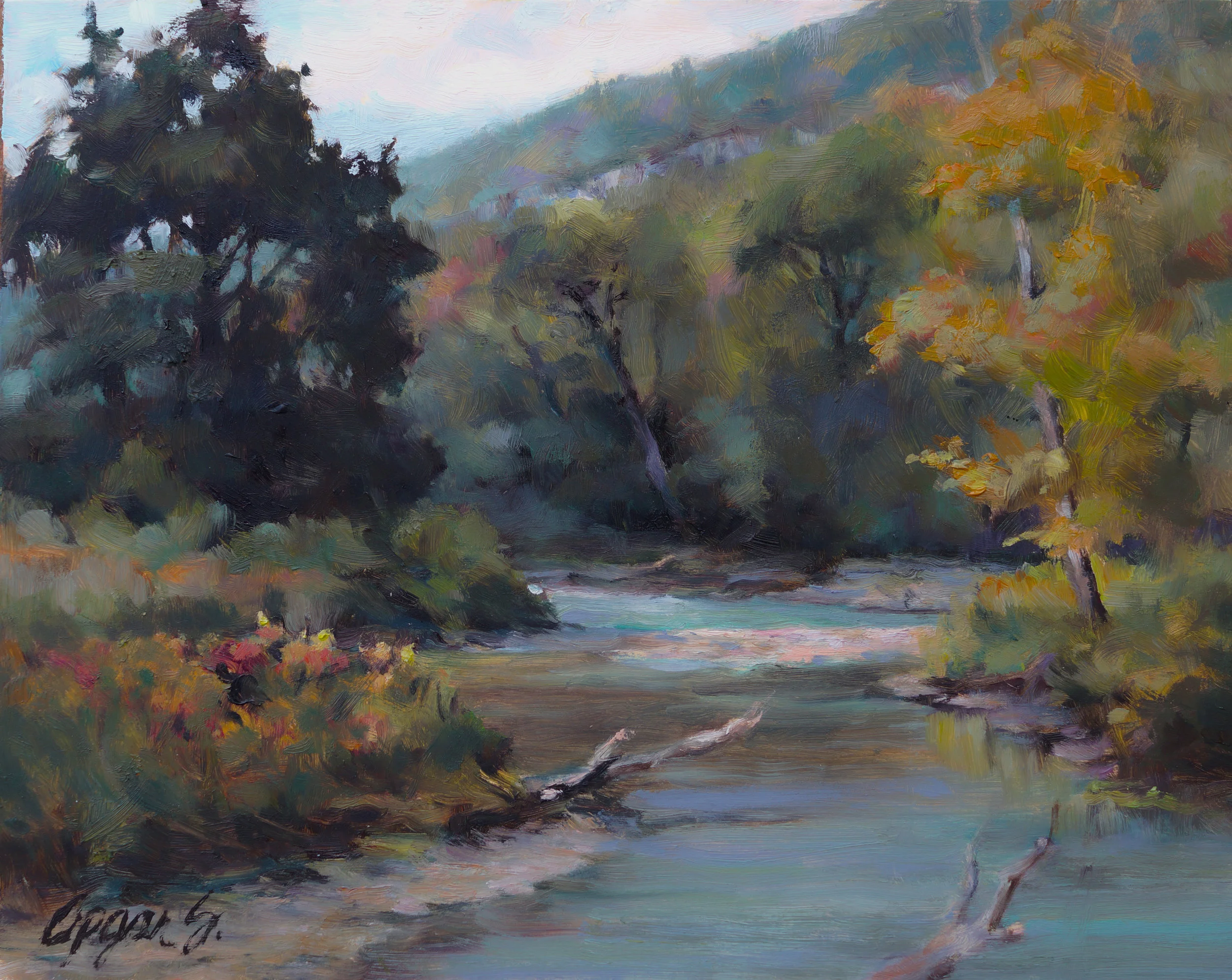 Oil — Elizabeth Apgar-Smith