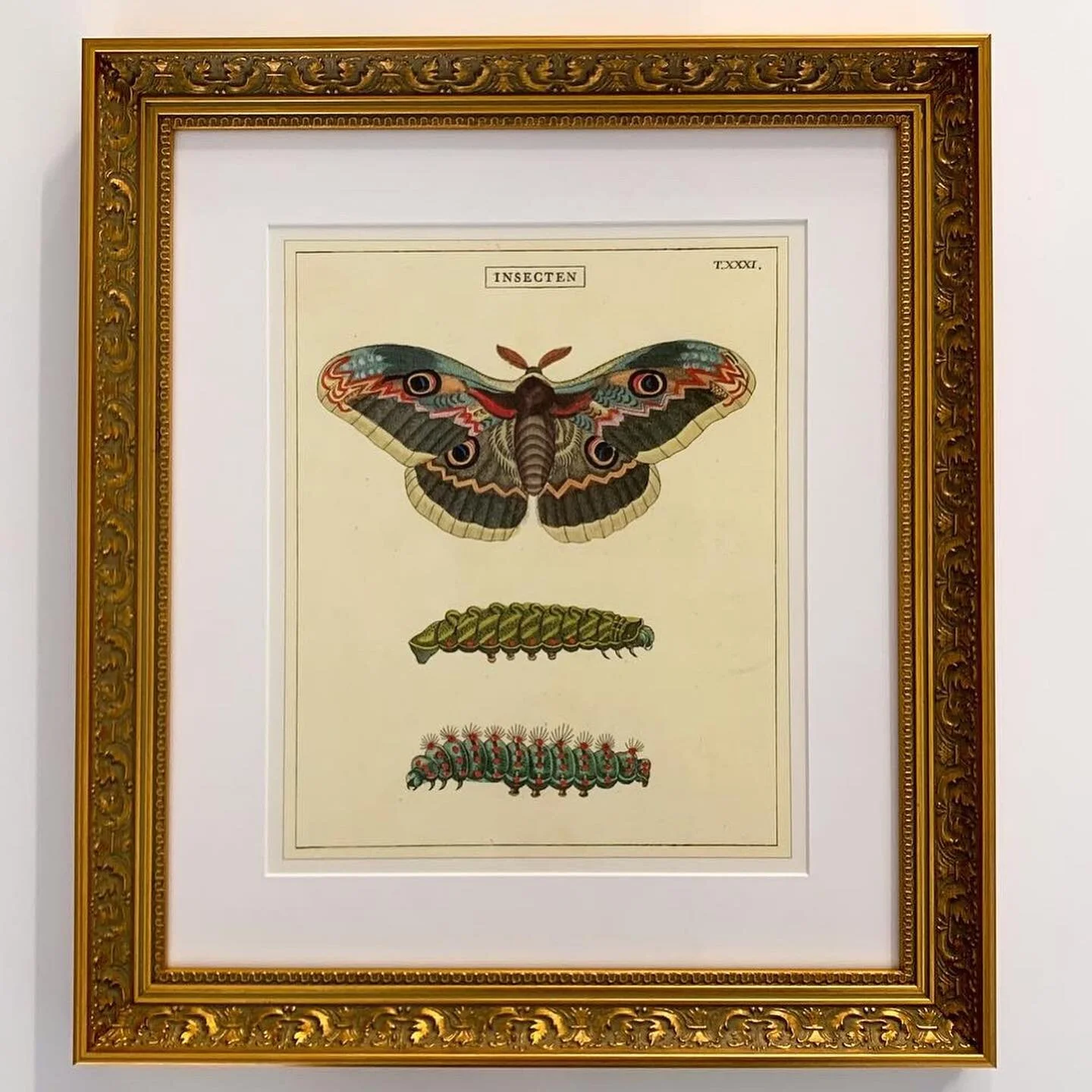 Picture Framing Portfolio