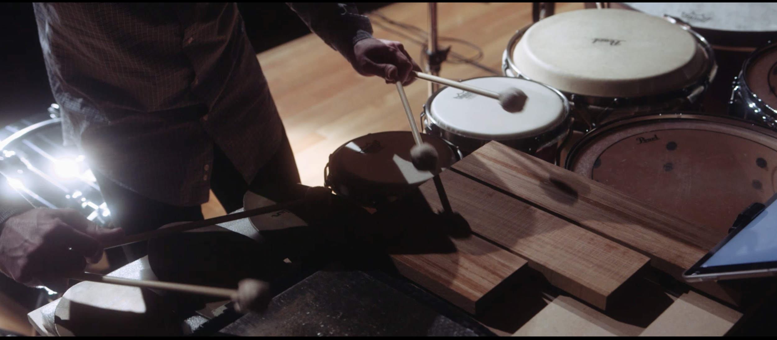 Solo Performer — Michael Compitello