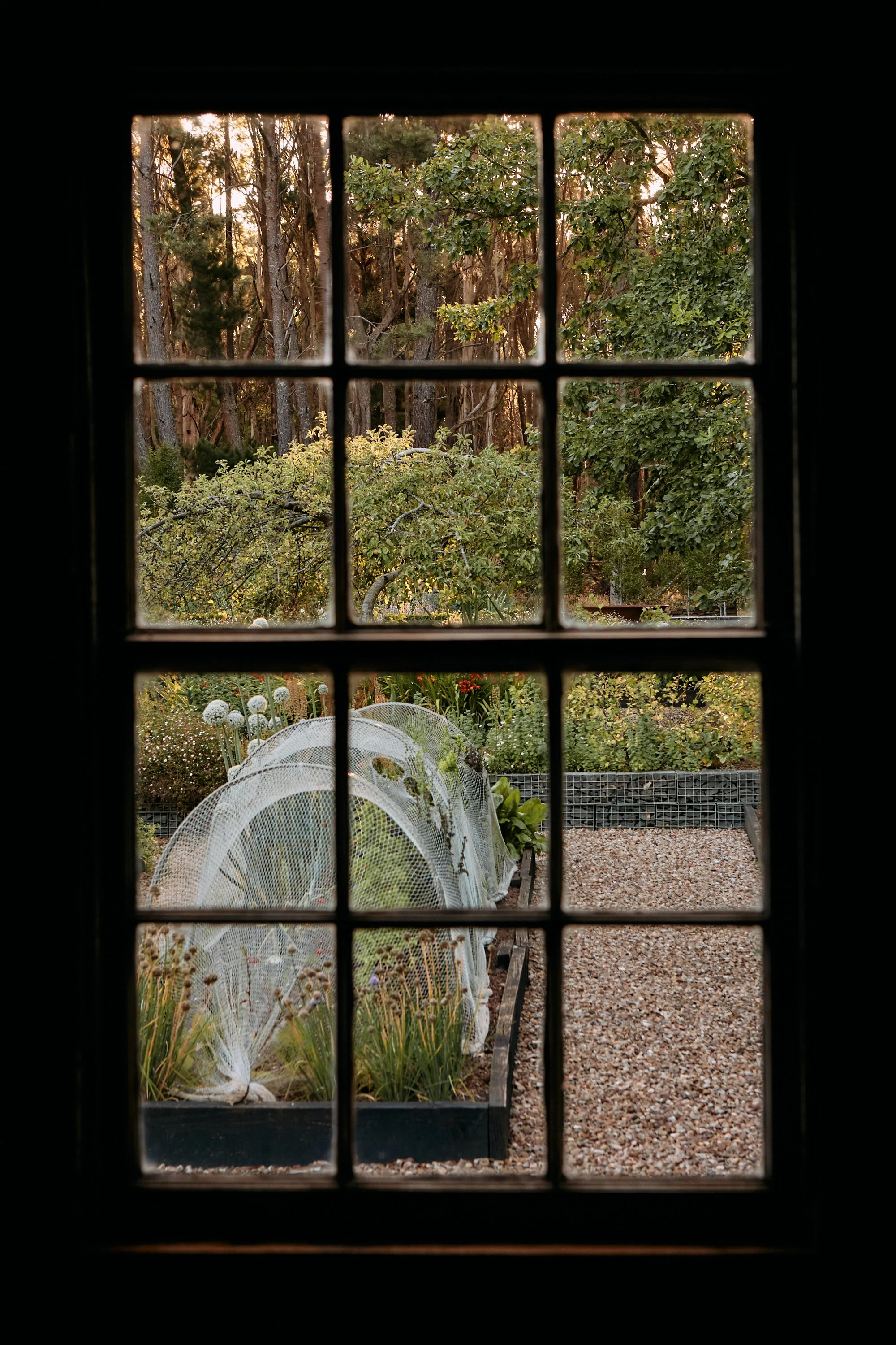 The Productive Garden workshop with Natasha Morgan — Natasha Morgan