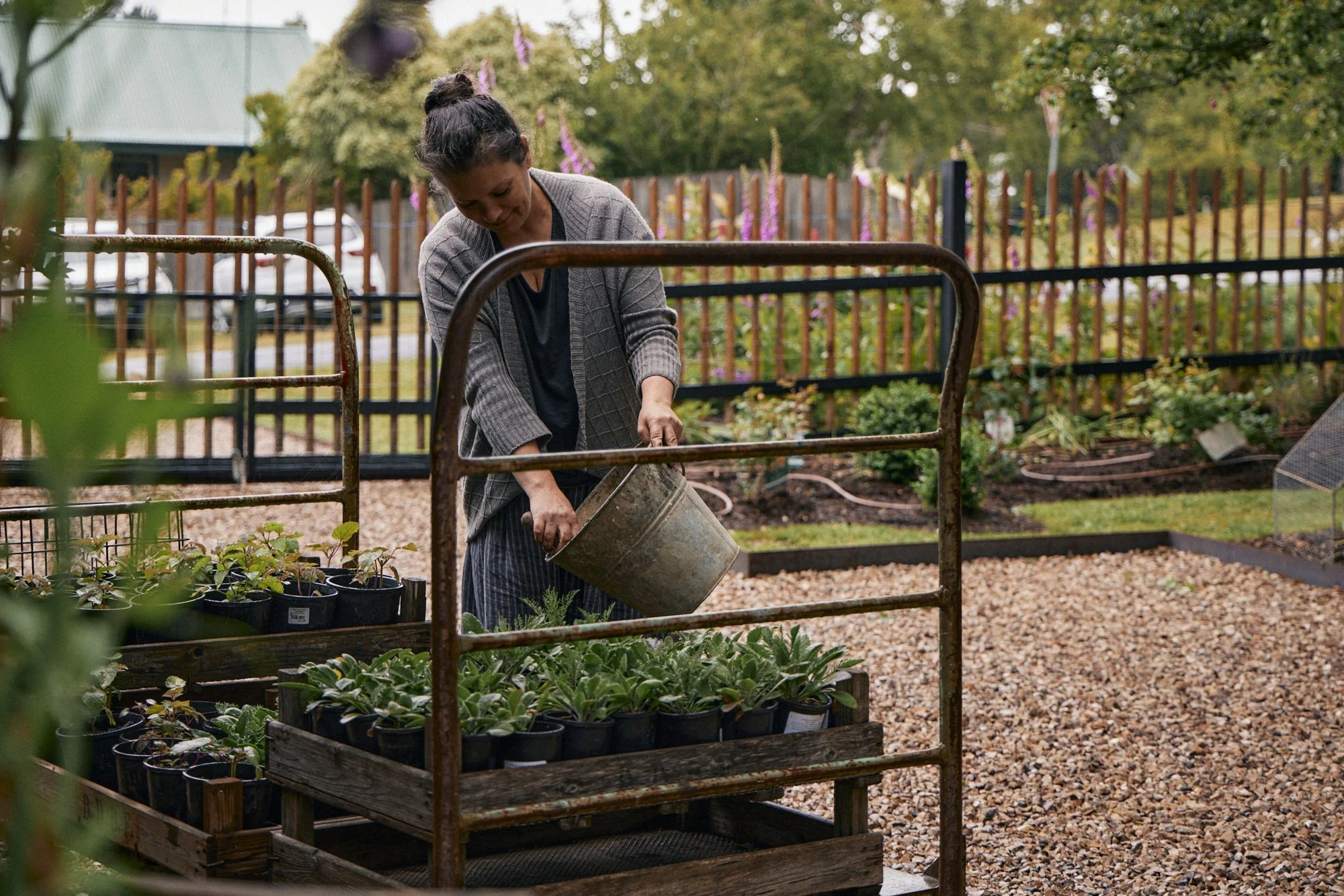 The Root: Shoot Ratio – Why Bigger Isn’t Always Better — Natasha Morgan