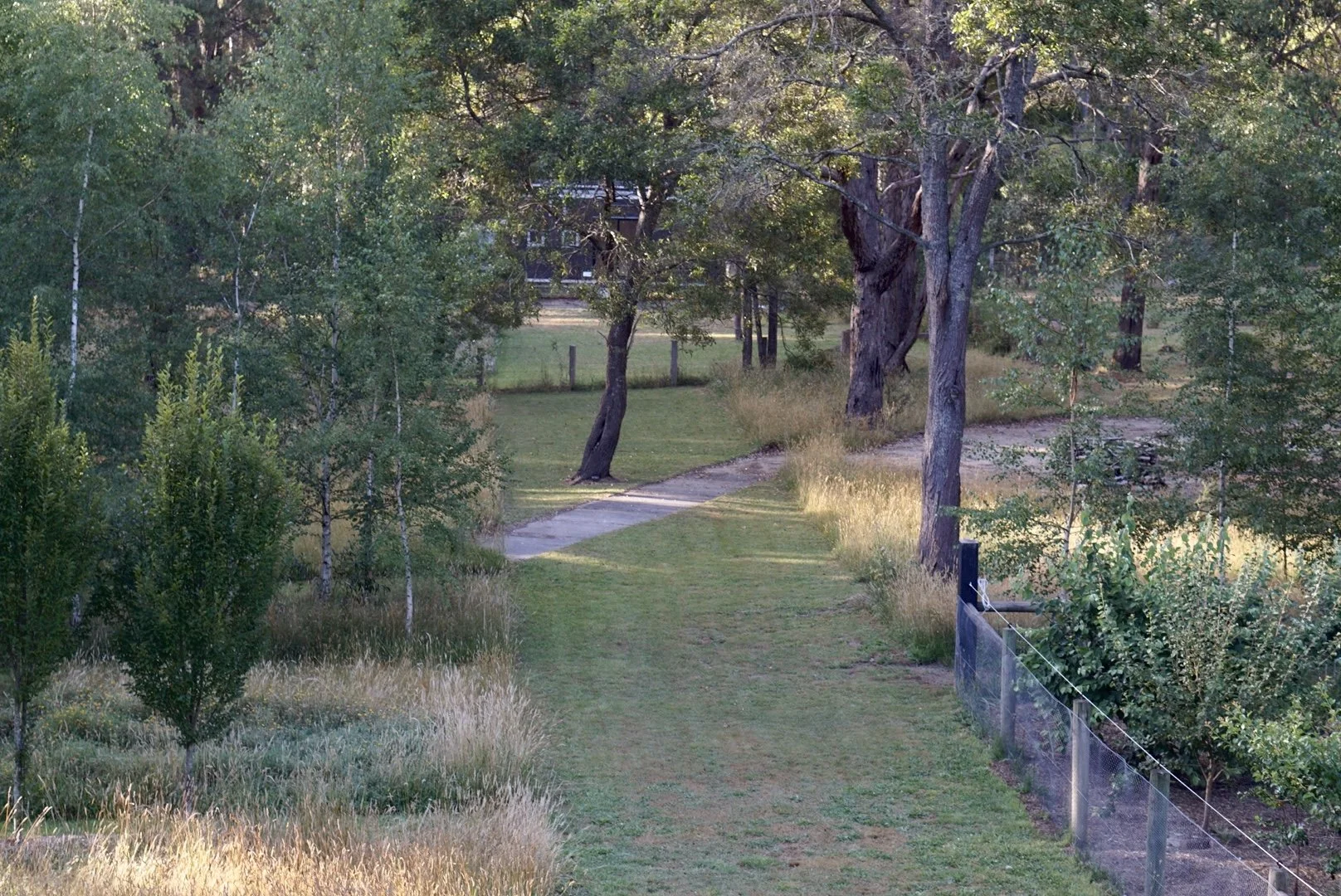 Garden Design workshop with Natasha Morgan — Natasha Morgan