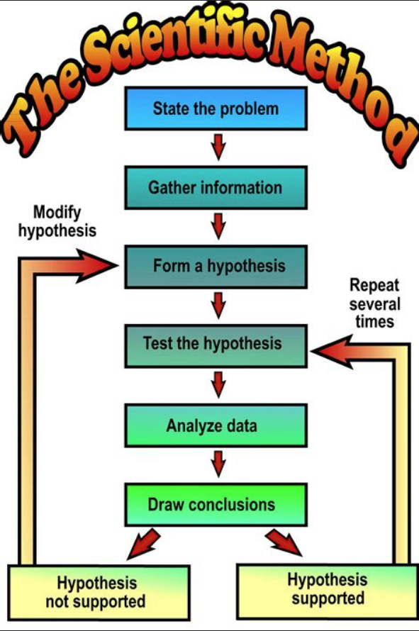 The Art of the Consultation - Proving Your Hypothesis — Dr Dan Keown