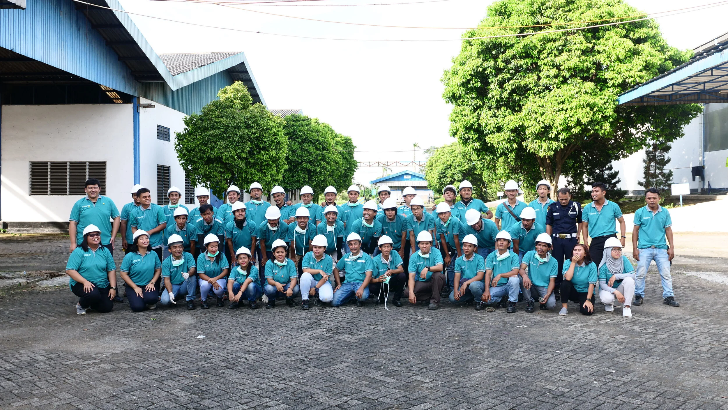 Tridi Oasis Group - Recycled PET Flakes Supplier