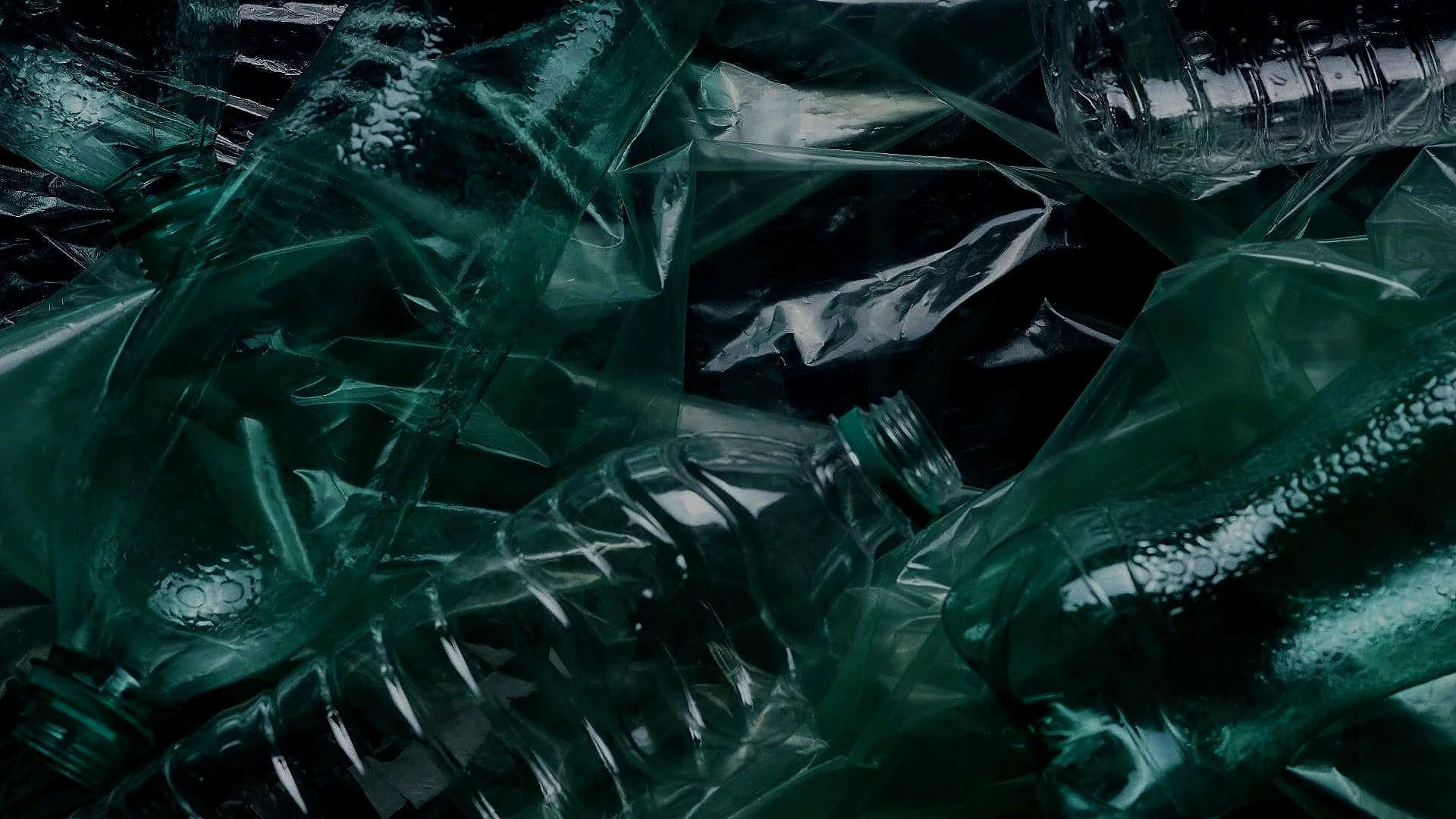 Tridi Oasis Group - Recycled PET Flakes Supplier