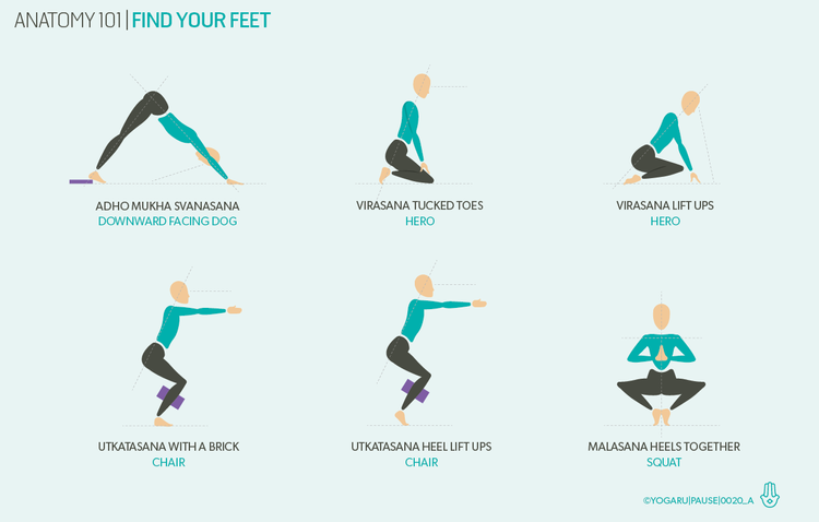 Anatomy 101 - find your feet — YOGARU