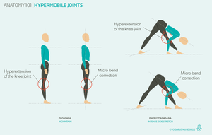 Anatomy 101 - hypermobile joints — YOGARU