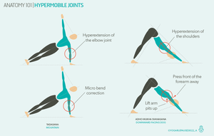 Anatomy 101 - hypermobile joints — YOGARU