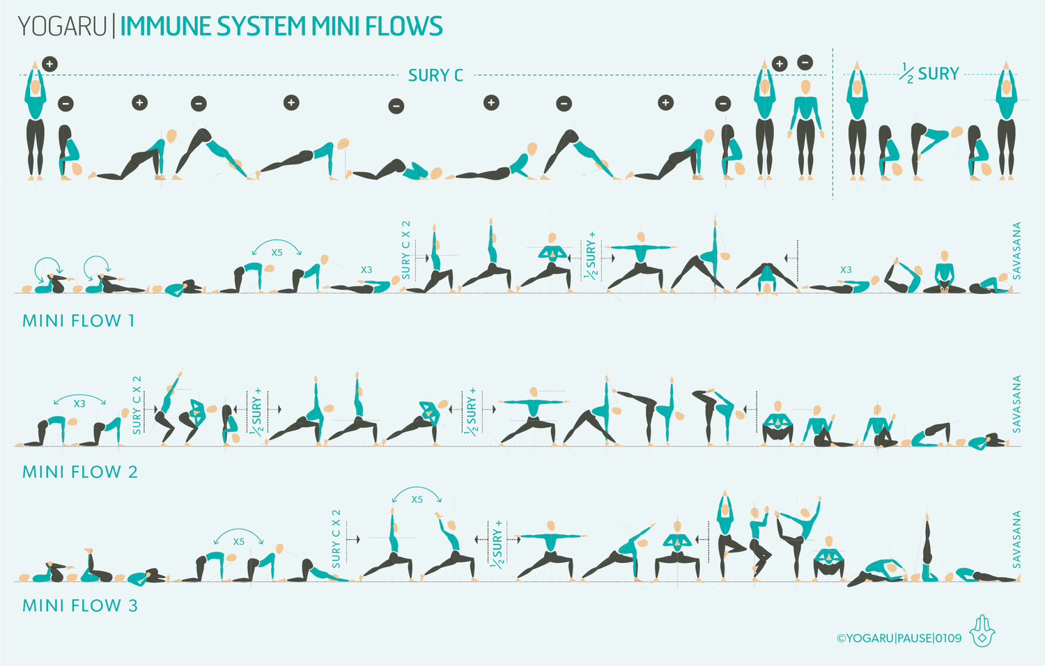 Immune system mini flows — YOGARU